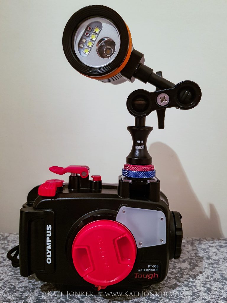 Everything you Need to know about Underwater Macro Photography – Kate ...