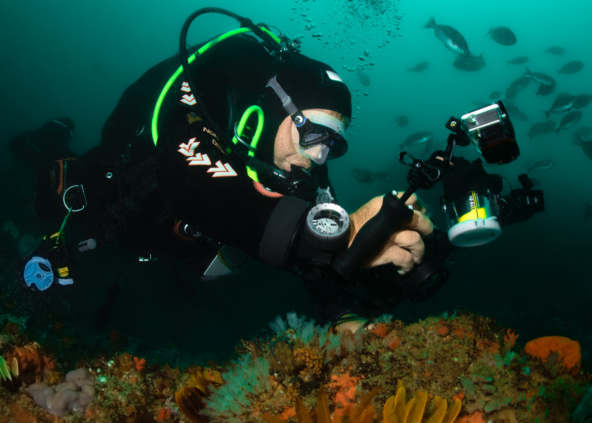 How to Choose the Right Underwater Camera and Housing – Kate Jonker ...